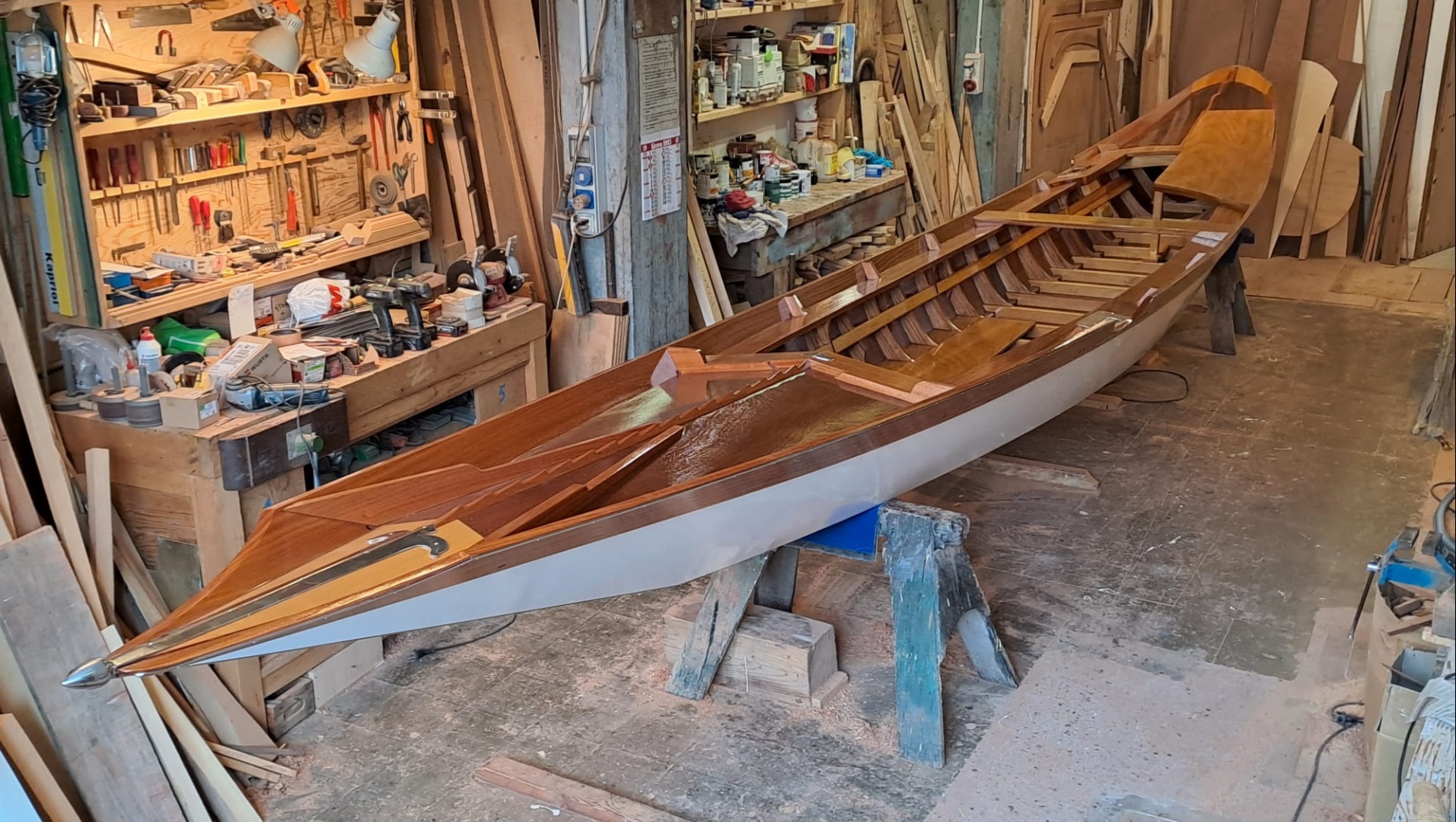 Nuovo Puparin per il DLF Sport mare di Venezia - Matteo Tamassia ...